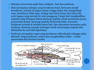 Zoologi vertebrata Persentasi pisces (ikan) | PPTX
