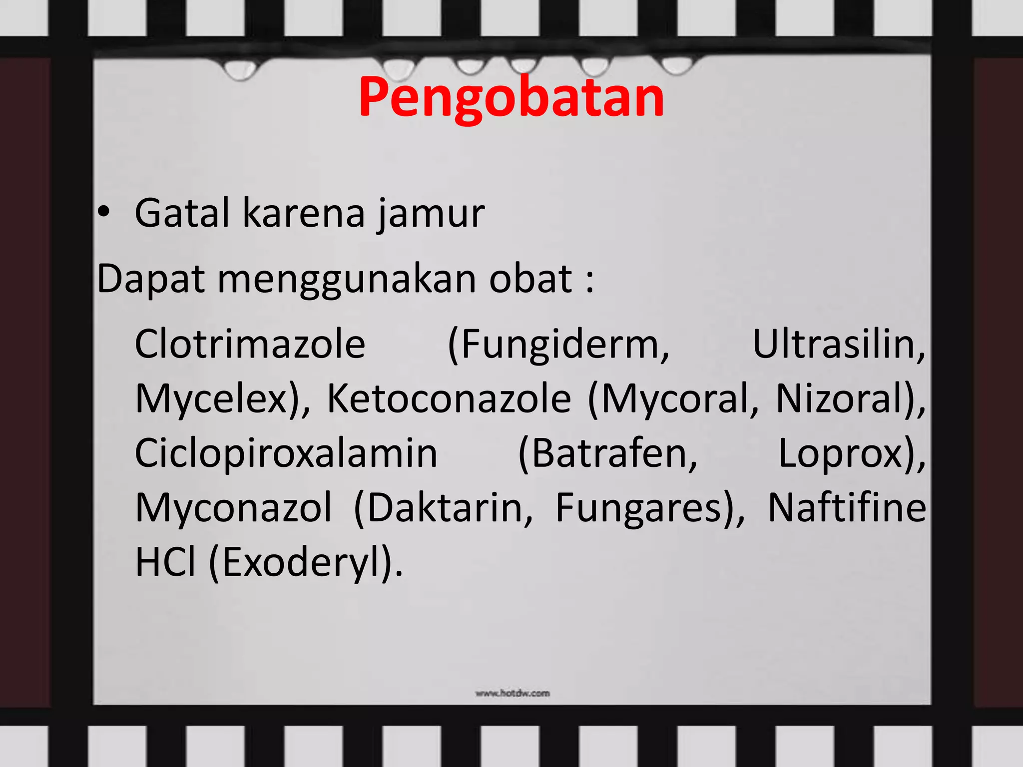 Persentasi promkes penyakit gatal gatal | PPTX