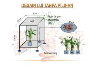 Kesesuaian Rumput Raja (Panicum maximum Jacq.) dan Alang-Alang ...