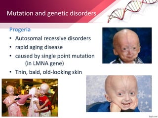 Mutation and DNA repair | PDF