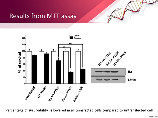 Mutation and DNA repair | PDF | Genetics | Science