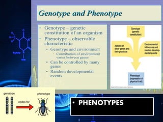 GENETICS | PPT
