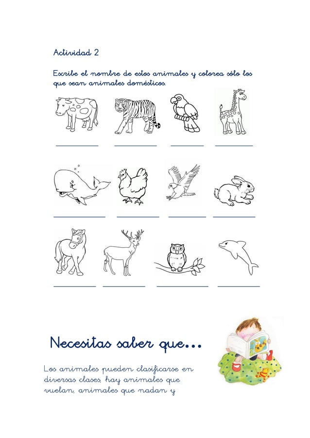 Secuencia de actividades de "Los animales" | PDF