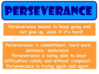 Perseverance Meaning