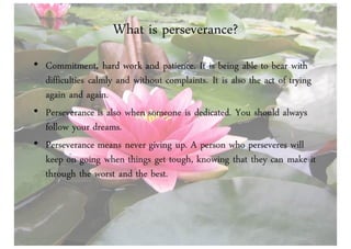 Perseverance | PDF