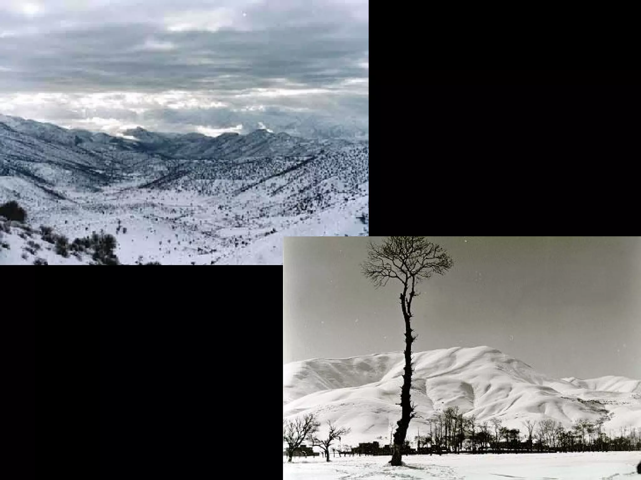 Persian Ethnicity Ii | PPT