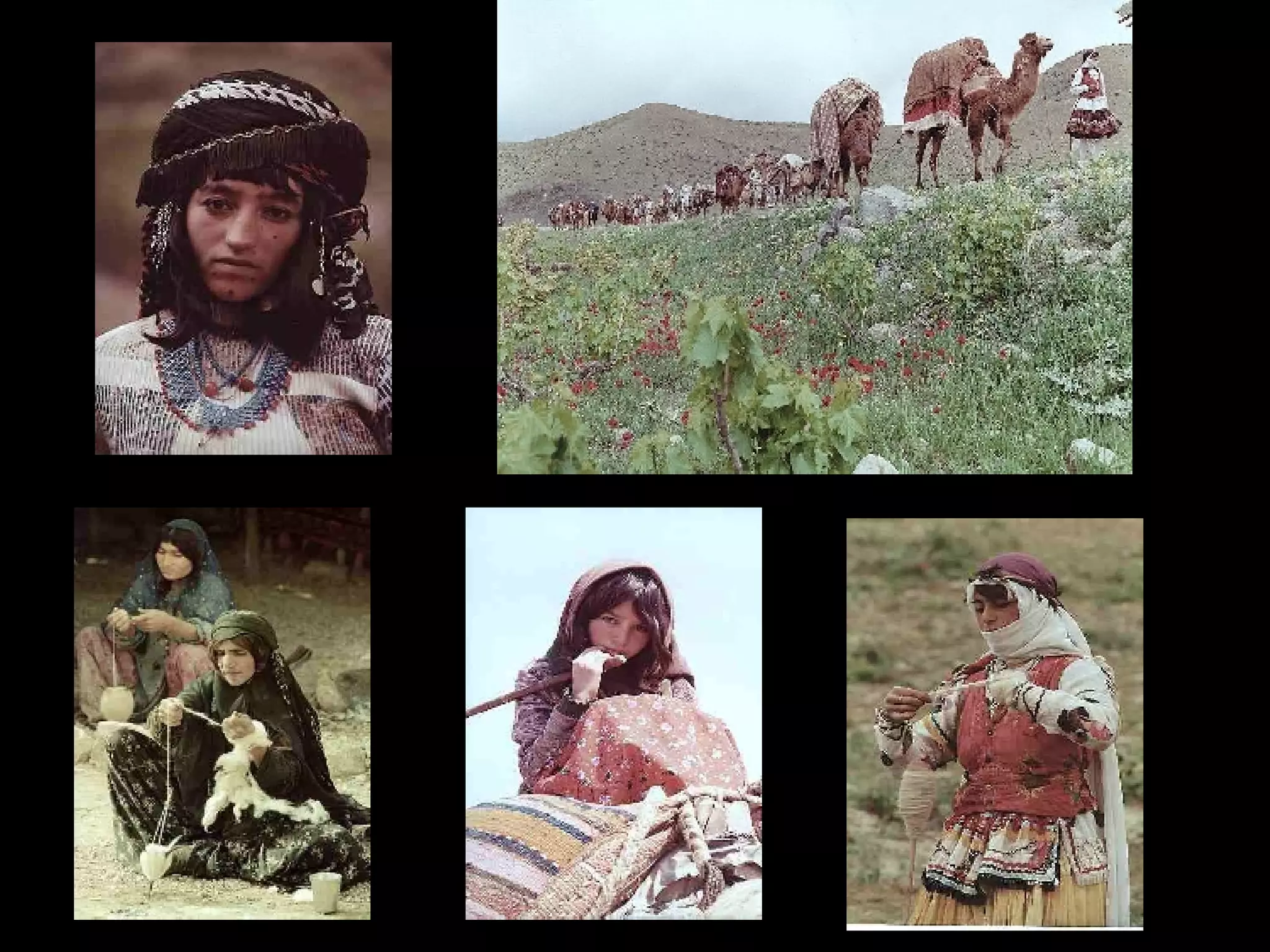 Persian Ethnicity Iii | PPT