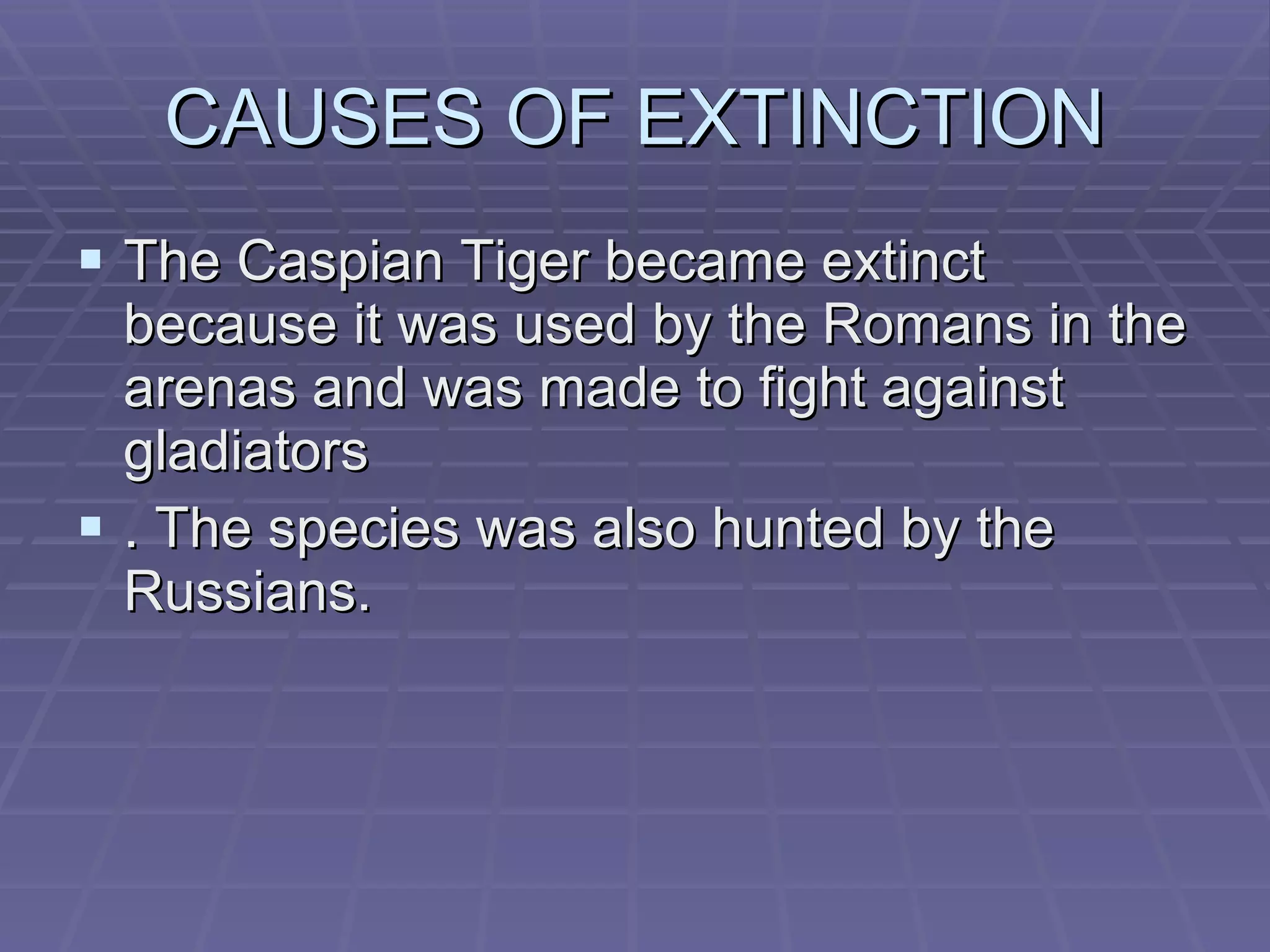 Persian tiger | PPT