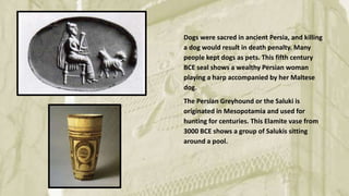 A brief history of ancient Persia | PPTX