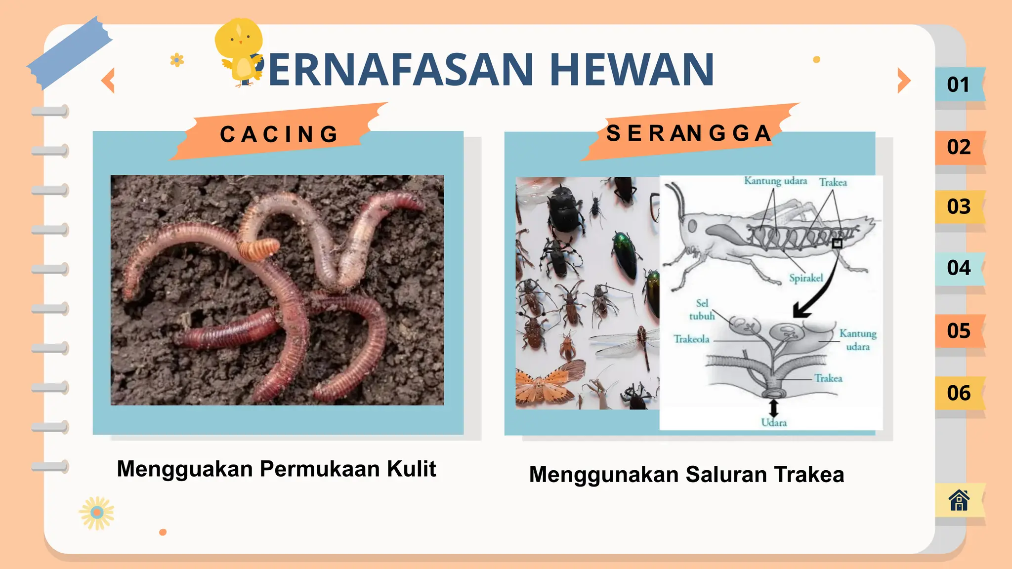 PERSIAPAN FINAL JMSC_MATERI_15 DES 2025.pptx