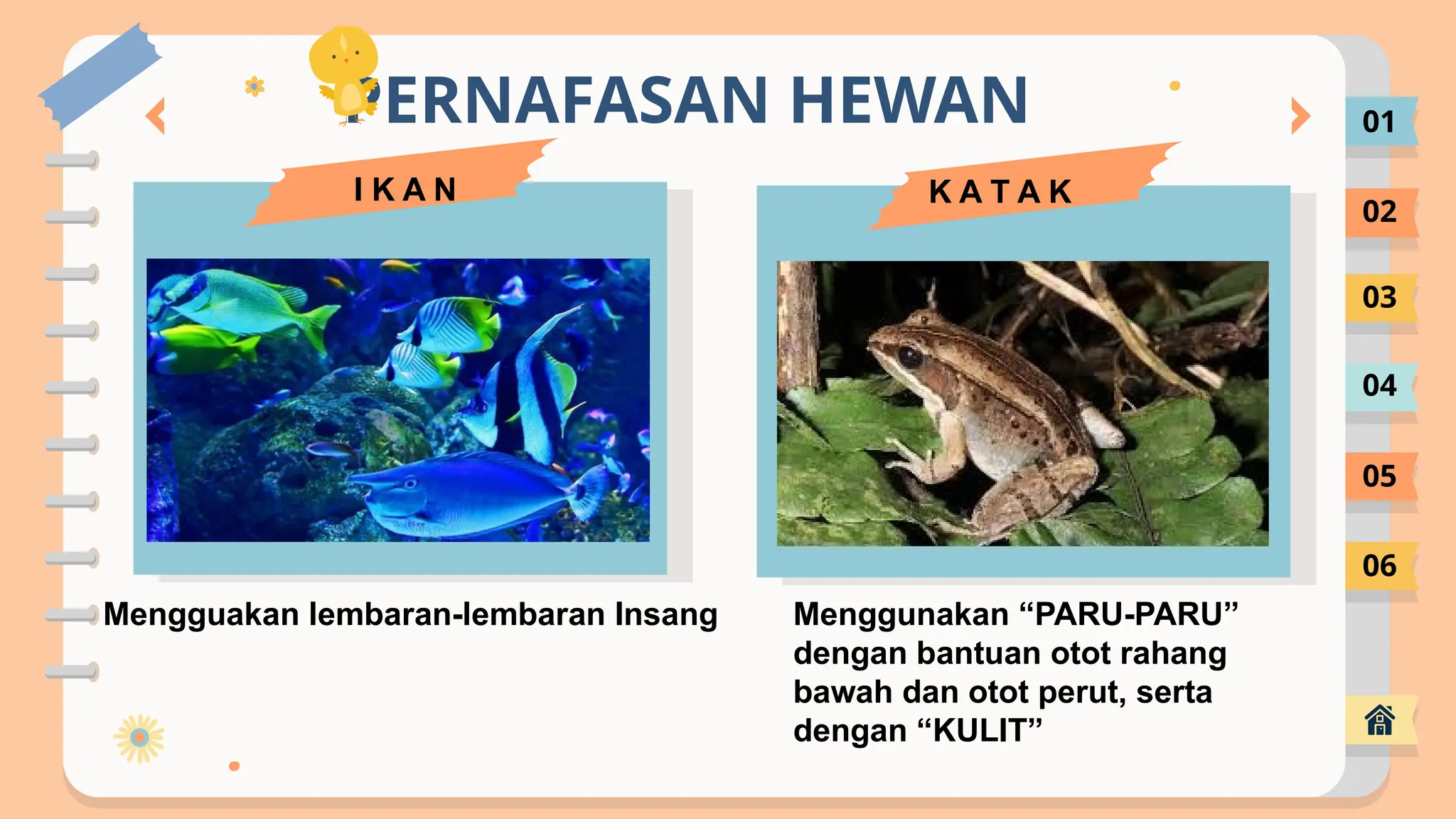 PERSIAPAN FINAL JMSC_MATERI_15 DES 2025.pptx