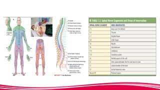 Persiapan Pemeriksaan Muskulosceletal.pdf | Free Download