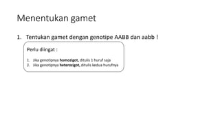 Persilangan dihibrid materi ipa kelas 9.pptx