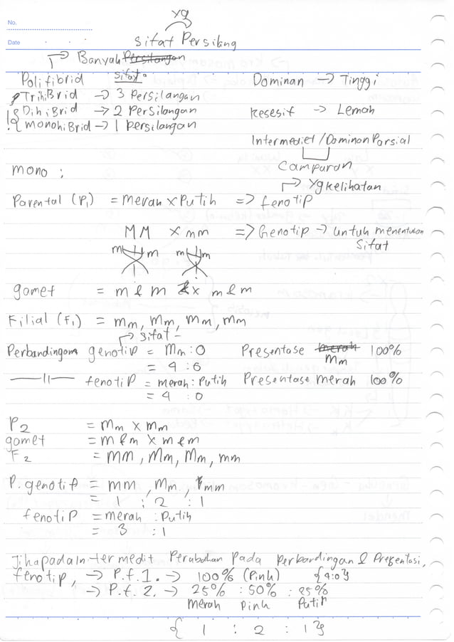Persilangan gentika | PDF