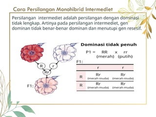 ppt pembelajaran Persilangan Monohibrid.pptx