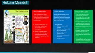 PERSILANGAN MONOHIBRIDA.pptx