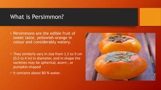 presentation on Persimmon | PPTX