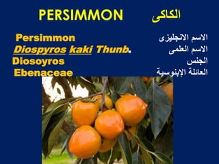 Persimmon, Growing and Production | PDF