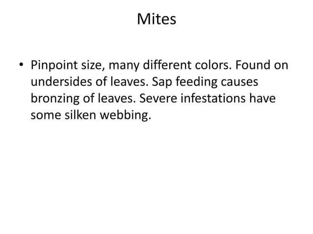 Persimmon insects A Lecture To ToT trainees ( FFS) By Mr. Allah Dad ...