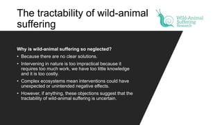 Wild-Animal Suffering Movement Building Through Research | PPTX