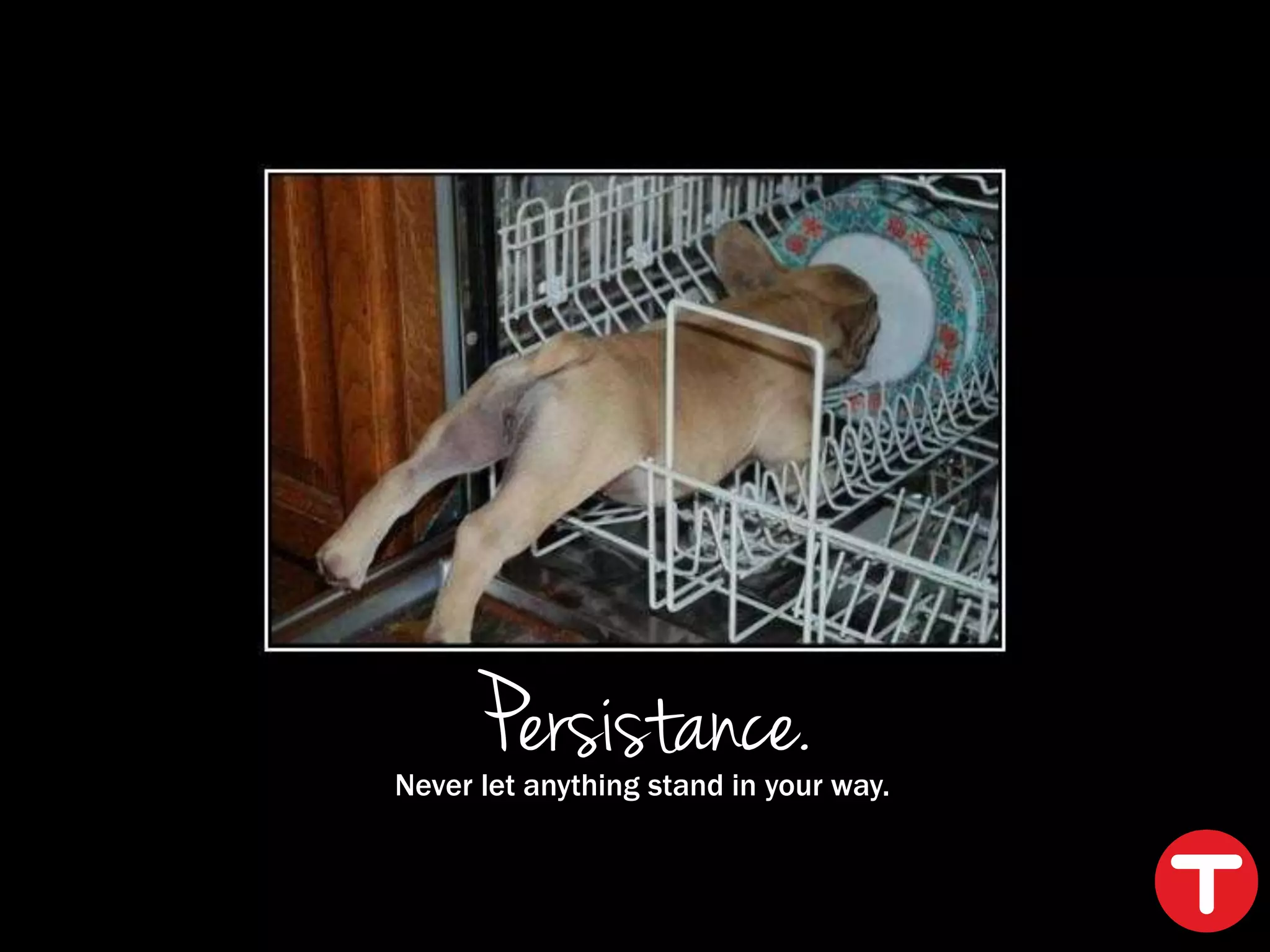 Persistence: The Key to Success | PPTX