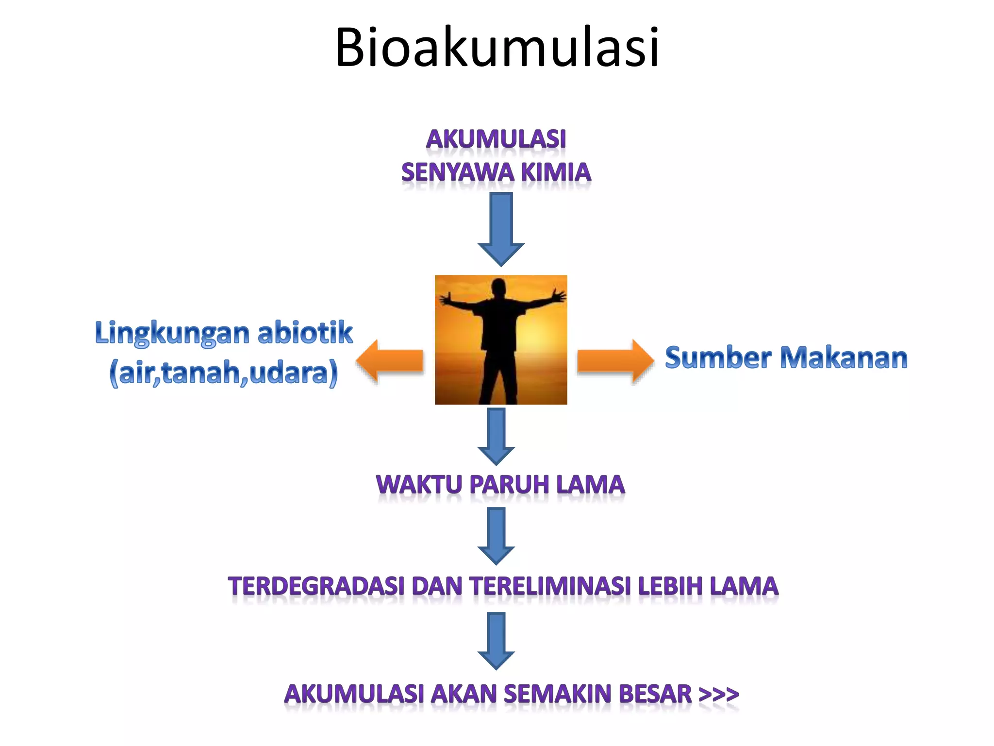 Persistensi Zat Kimia.pptx