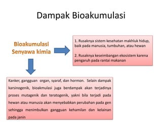 Persistensi Zat Kimia.pptx