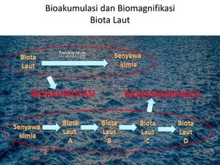 Persistensi Zat Kimia.pptx