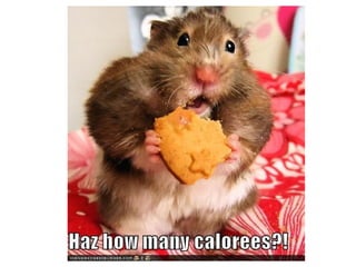 Persistent Authentication Cookie Generator Gem | PPT | Computing | Technology & Computing