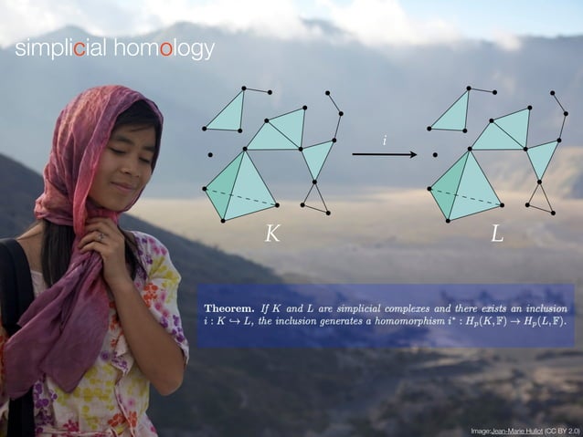 Persistent homology | PDF