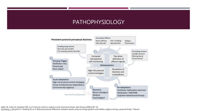 Persistent Postural Perceptual Dizziness (PPPD) | PPTX | Brain and ...