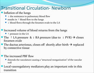 Persistent Pulmonary Hypertension by Dr. Joshua Petrikin, Neonatology ...