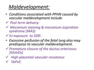 Persistent pulmonary hypertension of newborn PPHN | PPTX