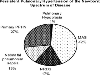 Persistent pulmonary hypertension of newborn PPHN | PPTX