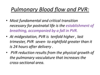 Persistent pulmonary hypertension of newborn PPHN | PPTX