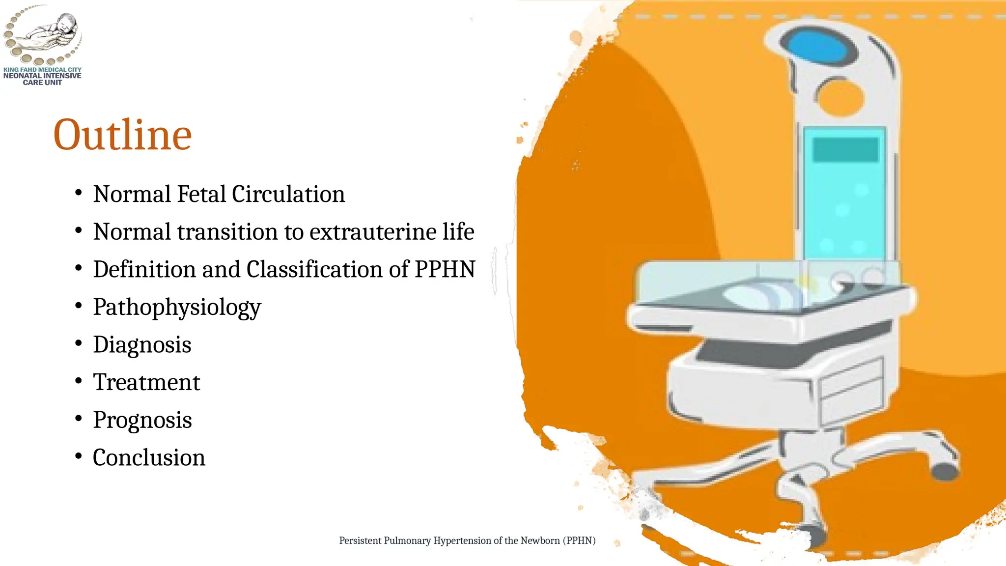 Persistent Pulmonary Hypertension of the Newborn.pptx