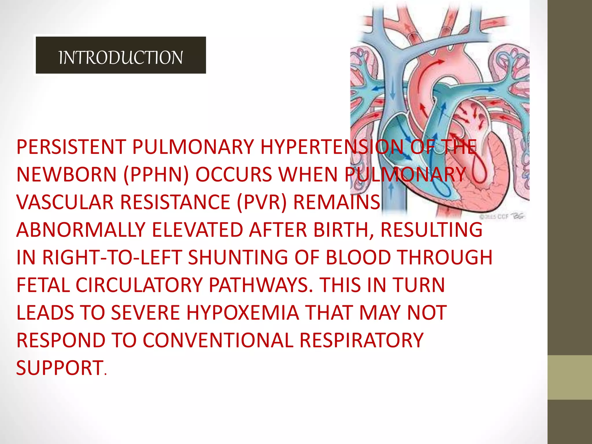 Persistent pulmonary hypertension(pphn) | PPTX
