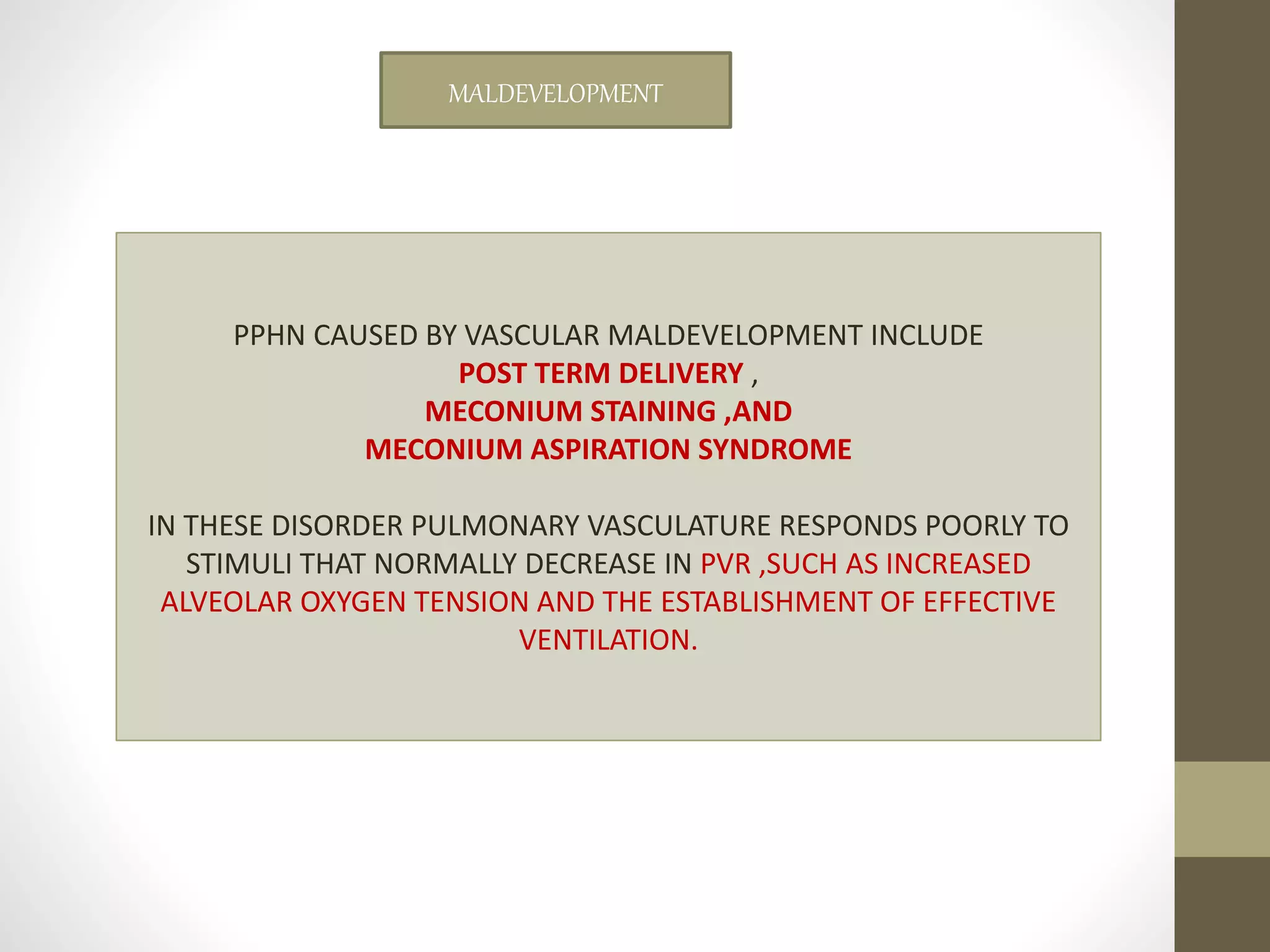 Persistent pulmonary hypertension(pphn) | PPTX