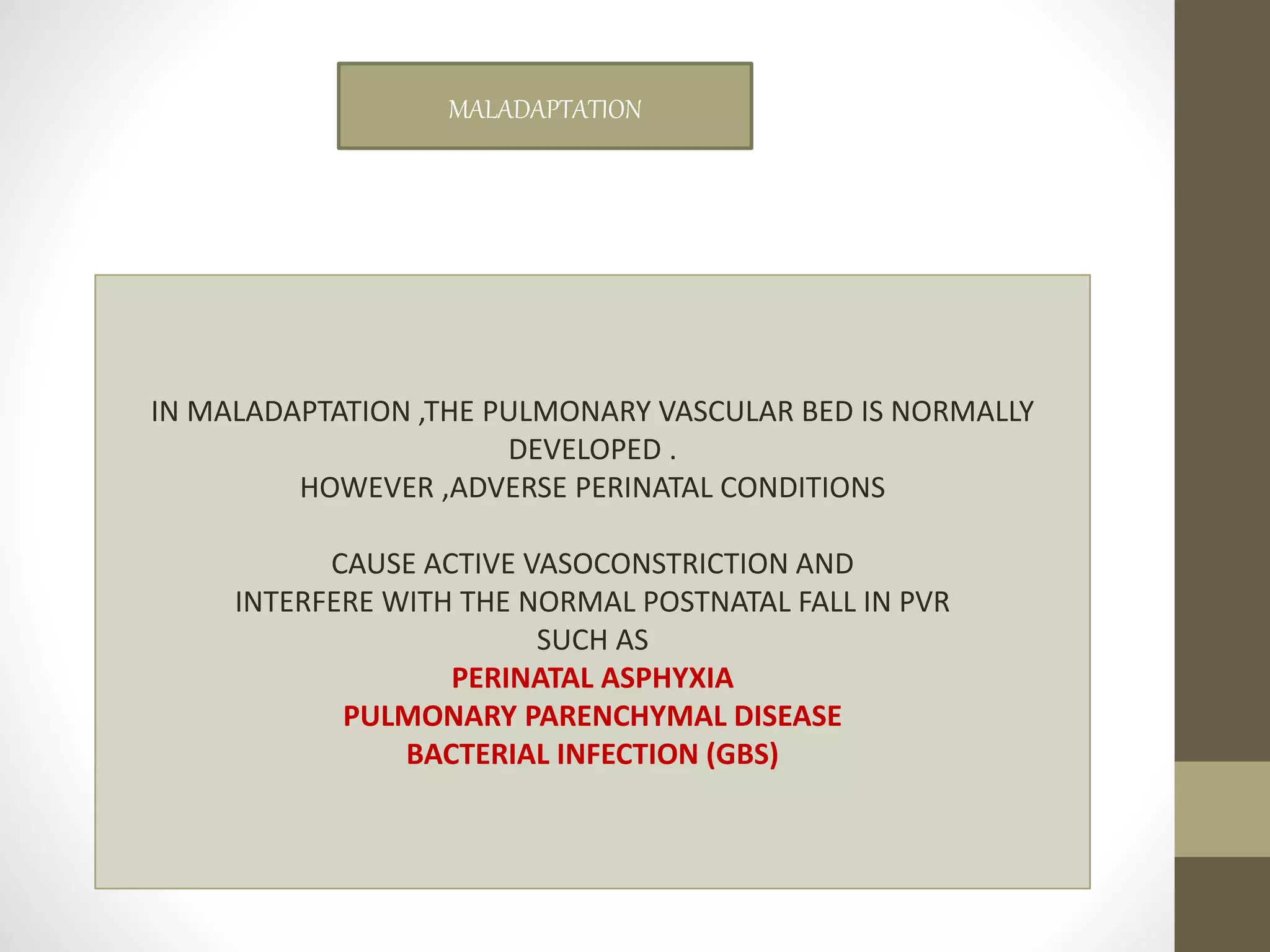 Persistent pulmonary hypertension(pphn) | PPTX