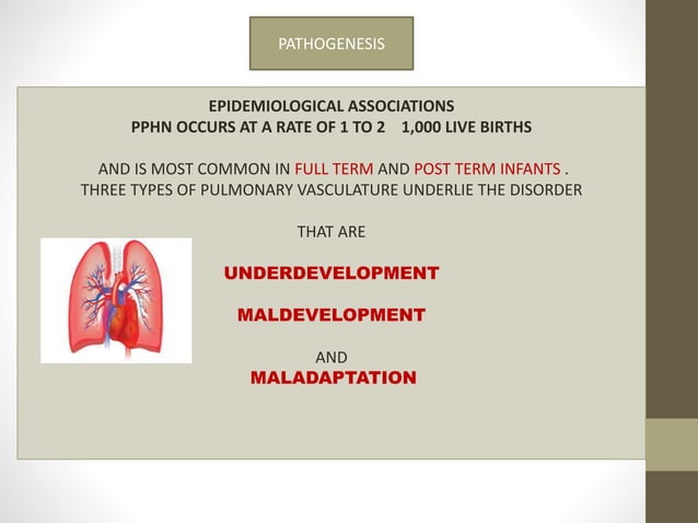 Persistent pulmonary hypertension(pphn) | PPTX