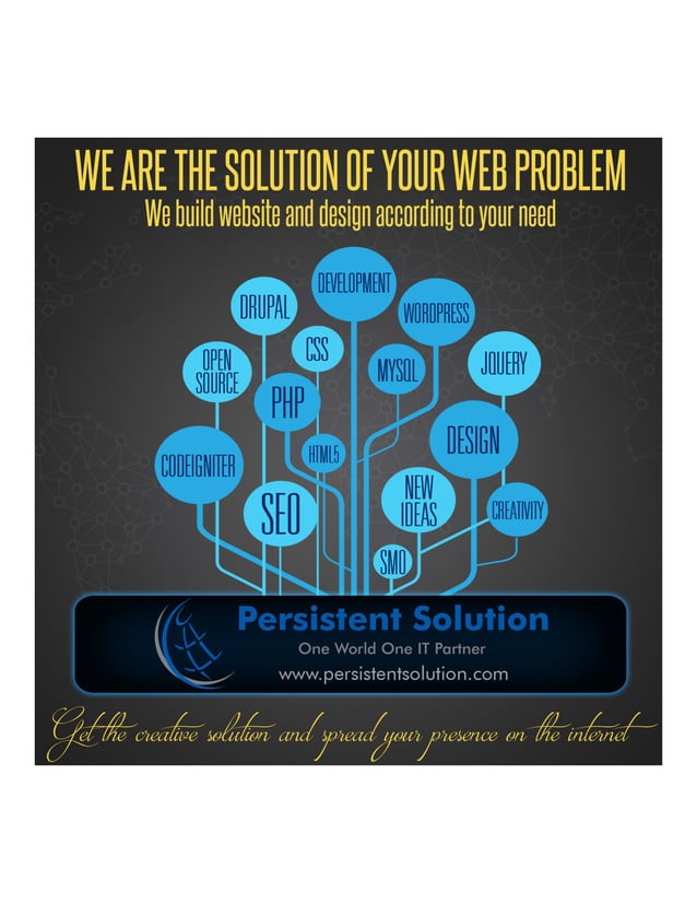 Persistent Solution: Solution of Web Development | PDF