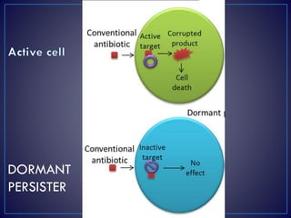 Persister cells sigma | PPTX