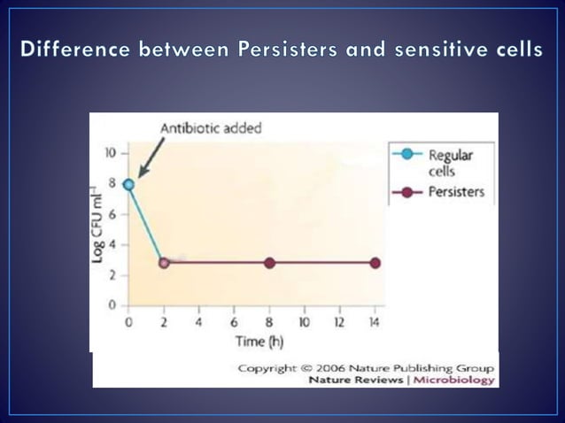 Persister cells sigma | PPTX | Infectious Diseases | Diseases and ...