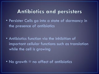 Persister cells sigma | PPTX | Infectious Diseases | Diseases and ...