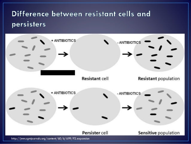 Persister cells sigma
