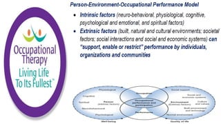Occupational Therapy Theory and Practice Person-Environment-Occupation ...