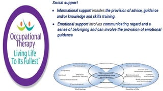 Occupational Therapy Theory and Practice Person-Environment-Occupation ...