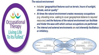 Occupational Therapy Theory and Practice Person-Environment-Occupation ...