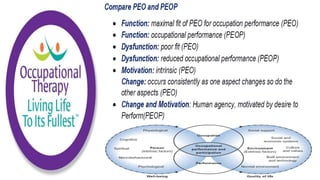 Occupational Therapy Theory and Practice Person-Environment-Occupation ...
