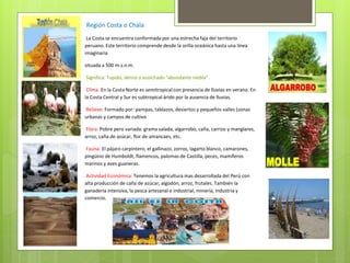Las 8 regiones naturales del Perú | PPTX
